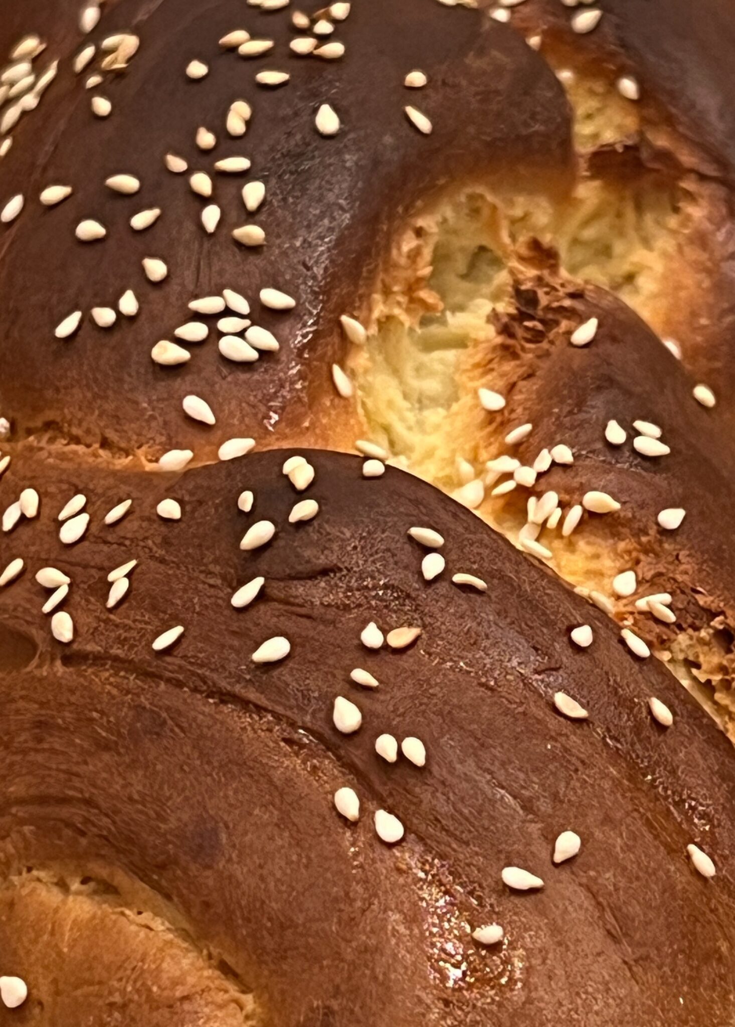 Knead For Peace - One Challah Recipe